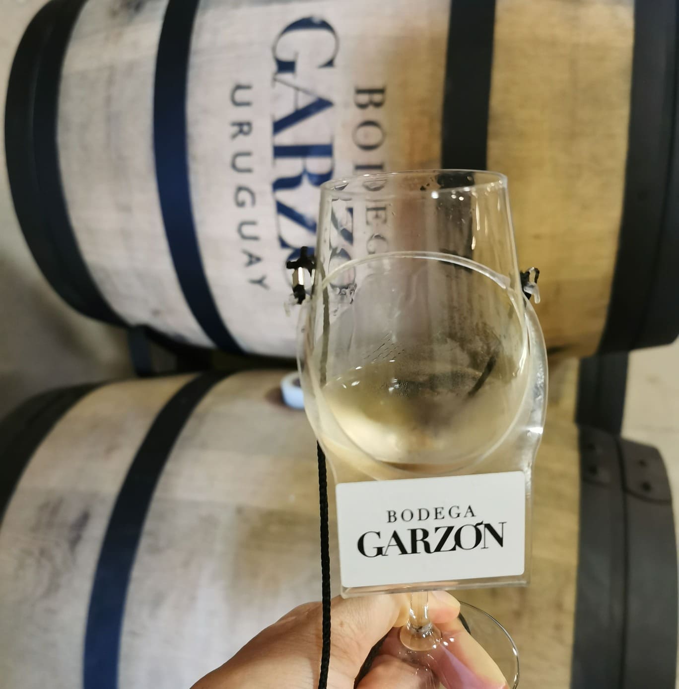Bodega Garzón: conheça a mais premiada vinícola do Uruguai